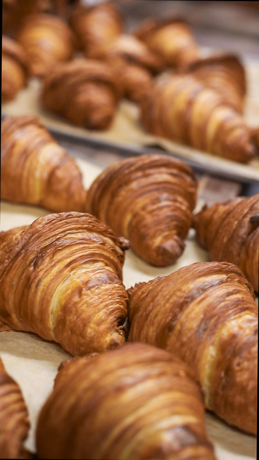 Little Valley Bakery